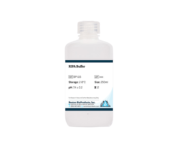 RIPA Buffer - 250ml | Scientist.com